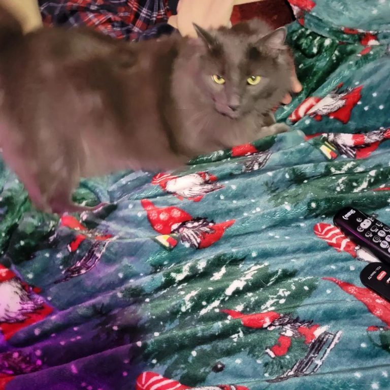 90 Day Fiancé Stars Debbie & Tony Add New Family Member - Soap Opera Spy