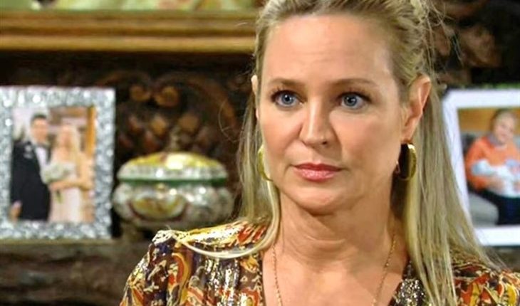 The Young And The Restless - Sharon Rosales (Sharon Case) - Soap Opera Spy