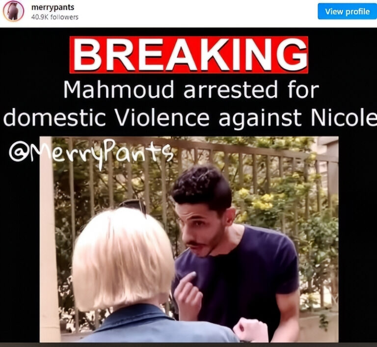 What Happened To 90 Day Fiance Couple Mahmoud El Sherbiny & Nicole ...