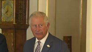 Prince Harry Accused Of Betraying King Charles' Trust Again - Soap ...