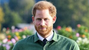 Prince Harry's Reaction To Meghan Markle Princess Diana Criticisms ...