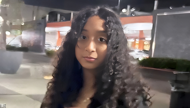 The D4VD Mystery: No Arrests, No Suspects, No Singer - NewsBreak